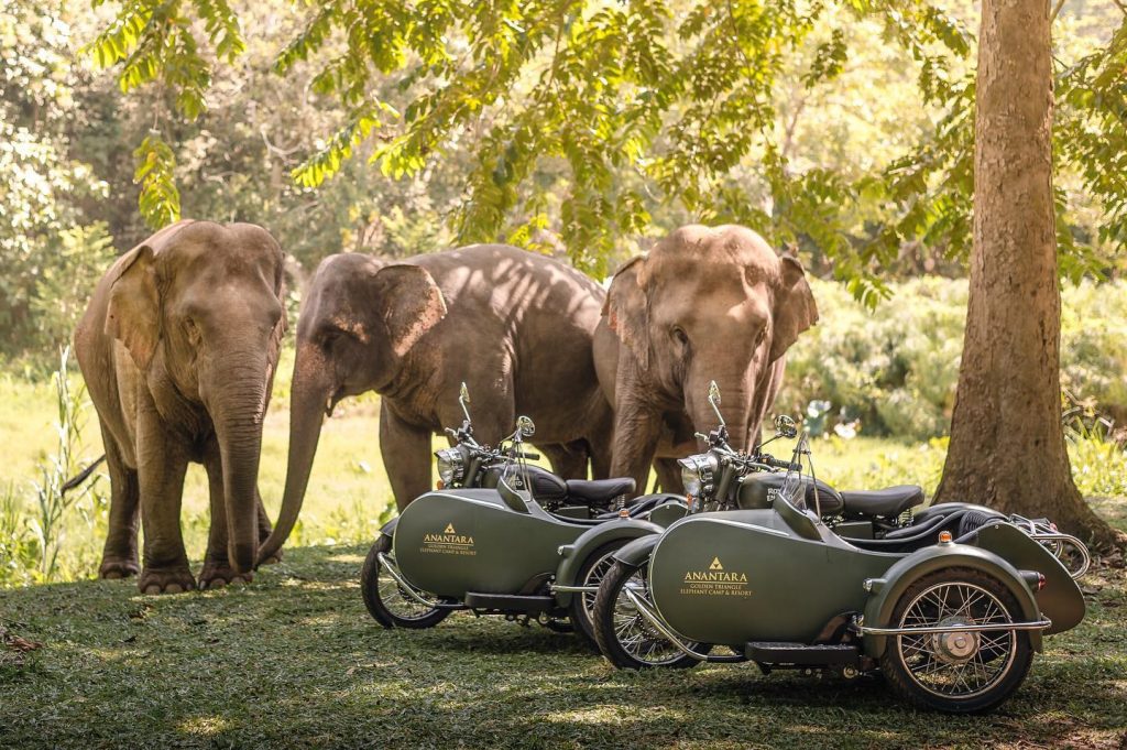 This Resort At Chiang Rai Allows Guests To Sleep In "Jungle Bubbles ...