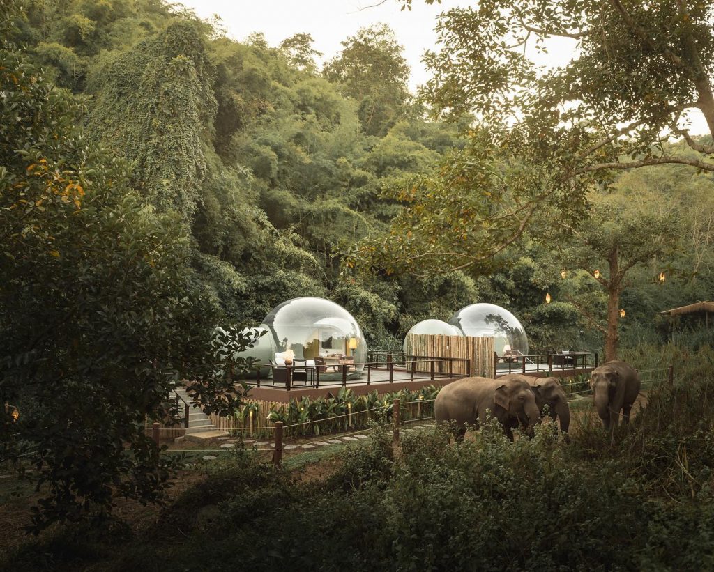 This Resort At Chiang Rai Allows Guests To Sleep In "Jungle Bubbles ...