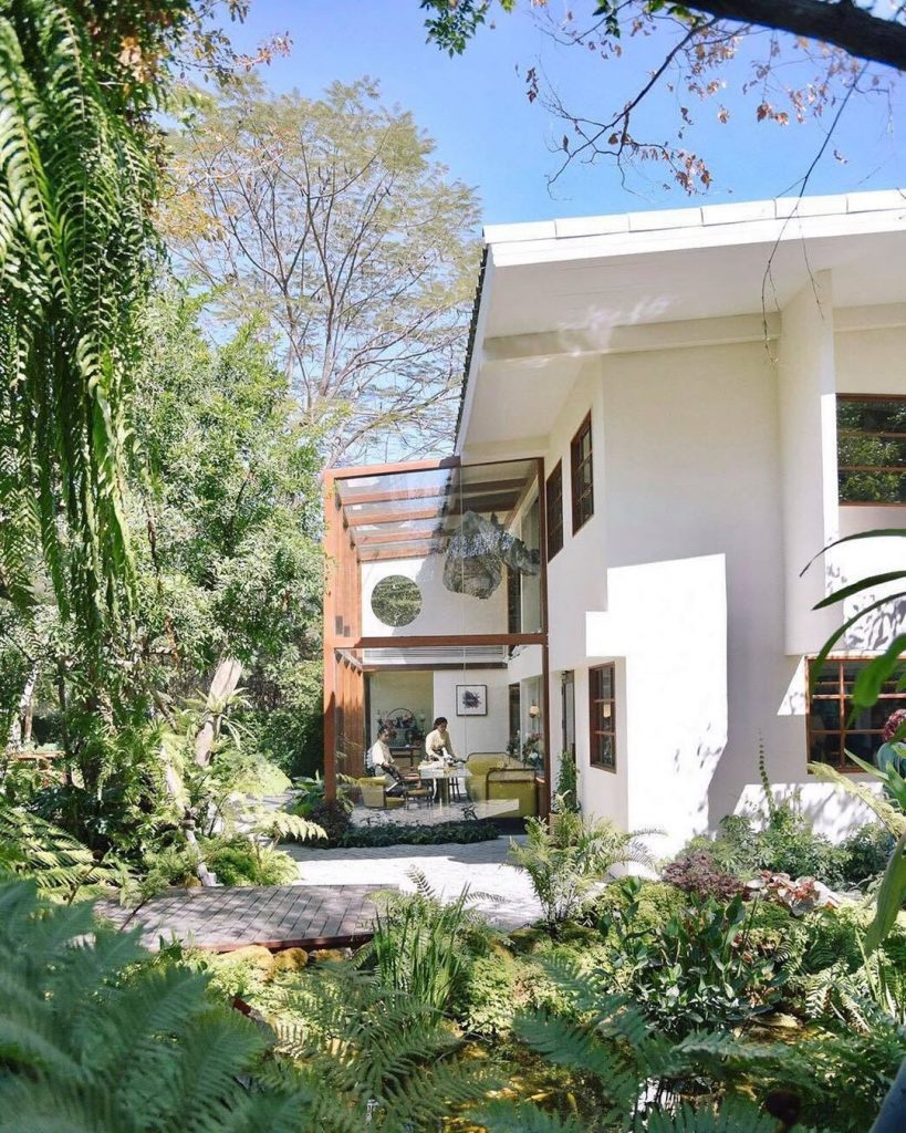 Camin Cuisine & Cafe: New Forest-Themed Cafe Serving Southern Thai ...