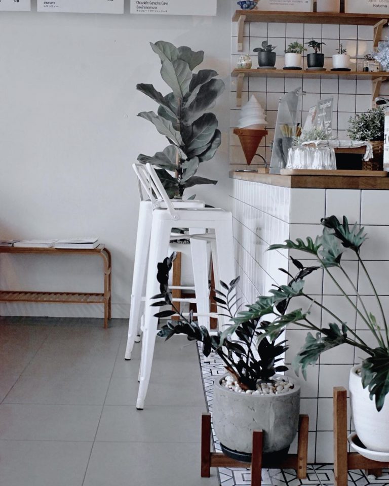 8 Stunning MUJI-Liked Cafes To Visit In Bangkok For A Minimal Instagram ...
