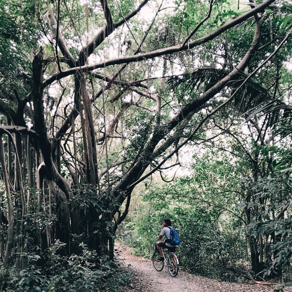 10 Beautiful Nature Trails And Walks Near Bangkok For A Breath Of Fresh ...